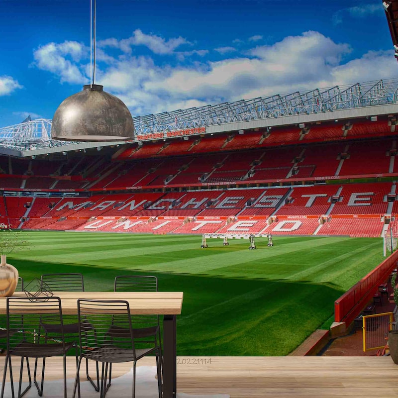 Stadium Wall Mural - Etsy