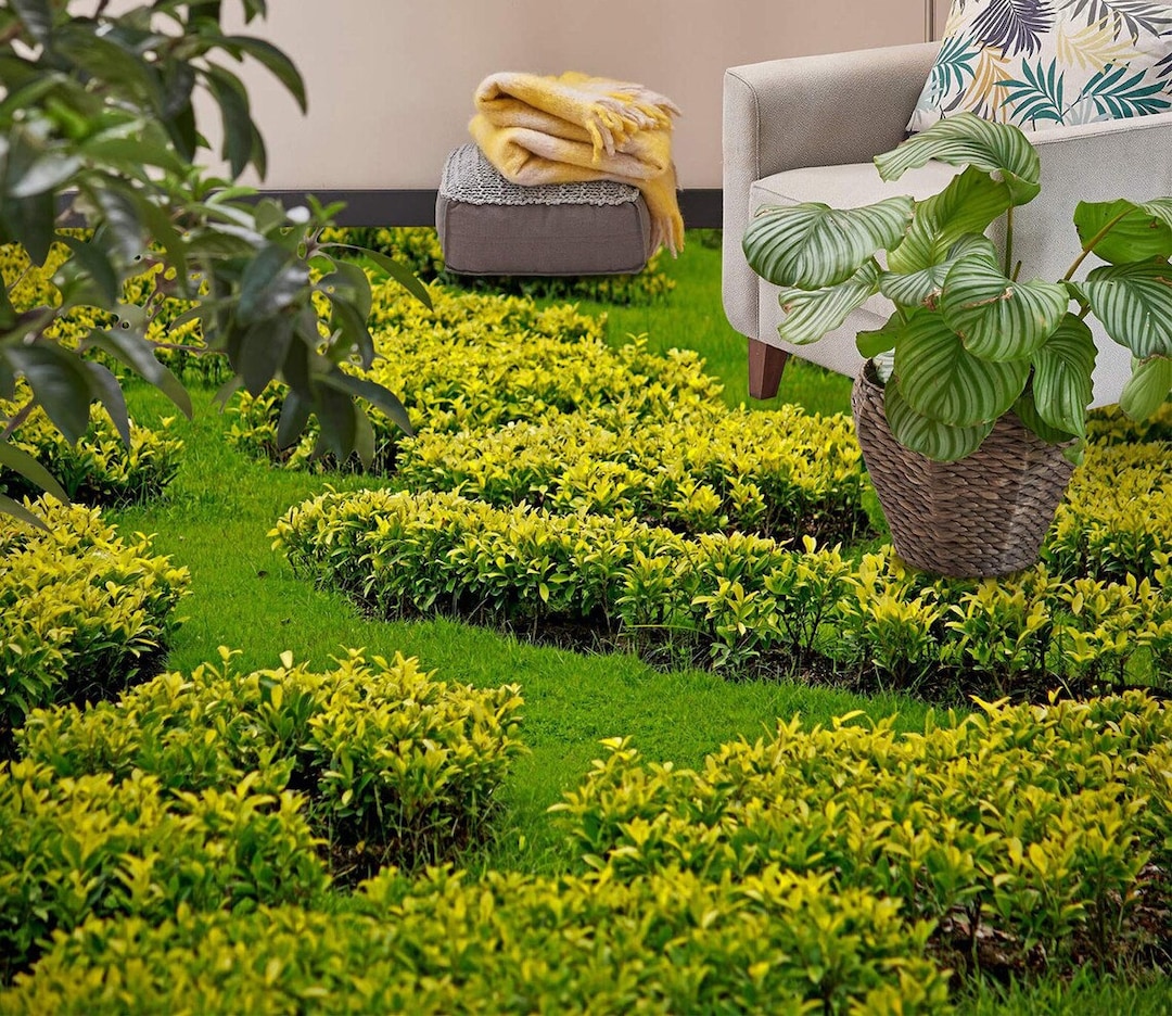 3D Grass Green Plants, Vinyl Floor Mural, Self-adhesive Vinyl, Floor ...