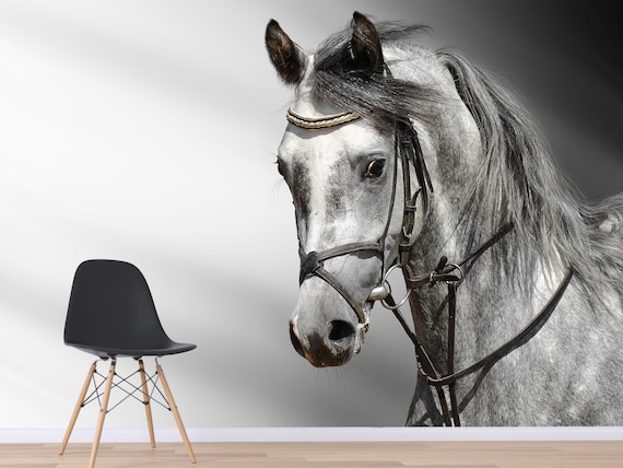 3d horse wallpaper store