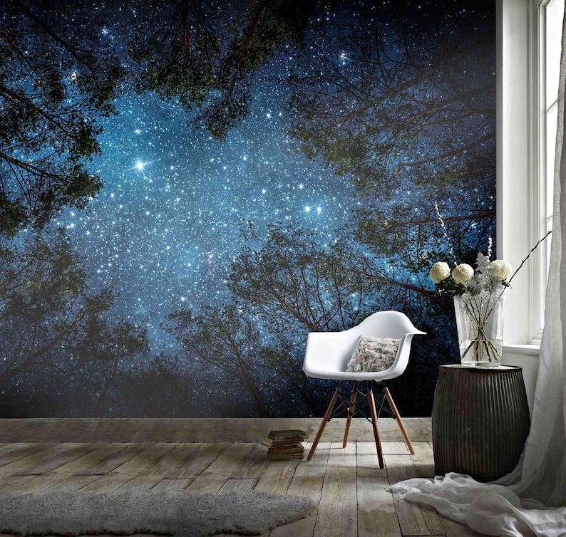 3D Starry Wallpaper Sky Wall Mural Forest Wall Decor - Etsy