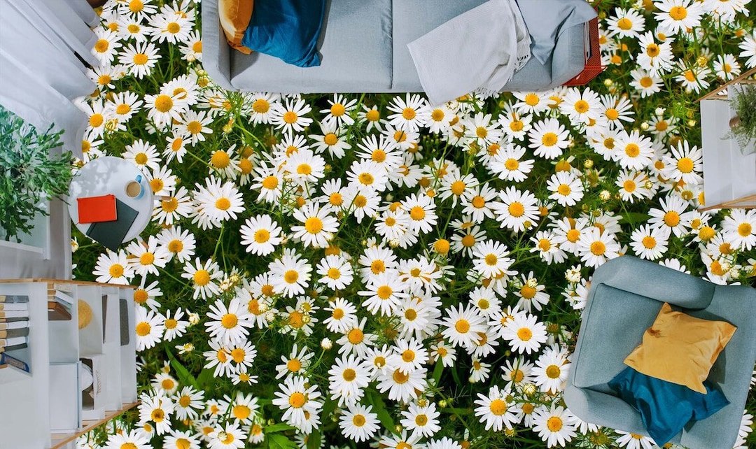 3D White Daisy Flower, Vinyl Floor Mural, Self-adhesive Vinyl, Floor ...