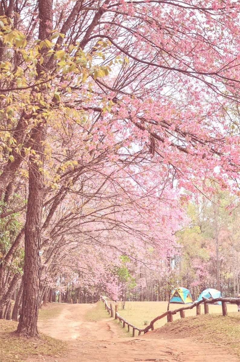 3D Pink Tree Flower Stair Risers Sticker PVC Sticker Mural | Etsy