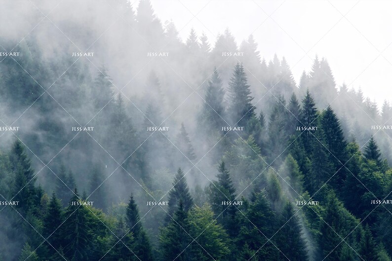 3D Pine Forest Wallpaper Mural, Misty Mountain Scenery, Peel and Stick ...