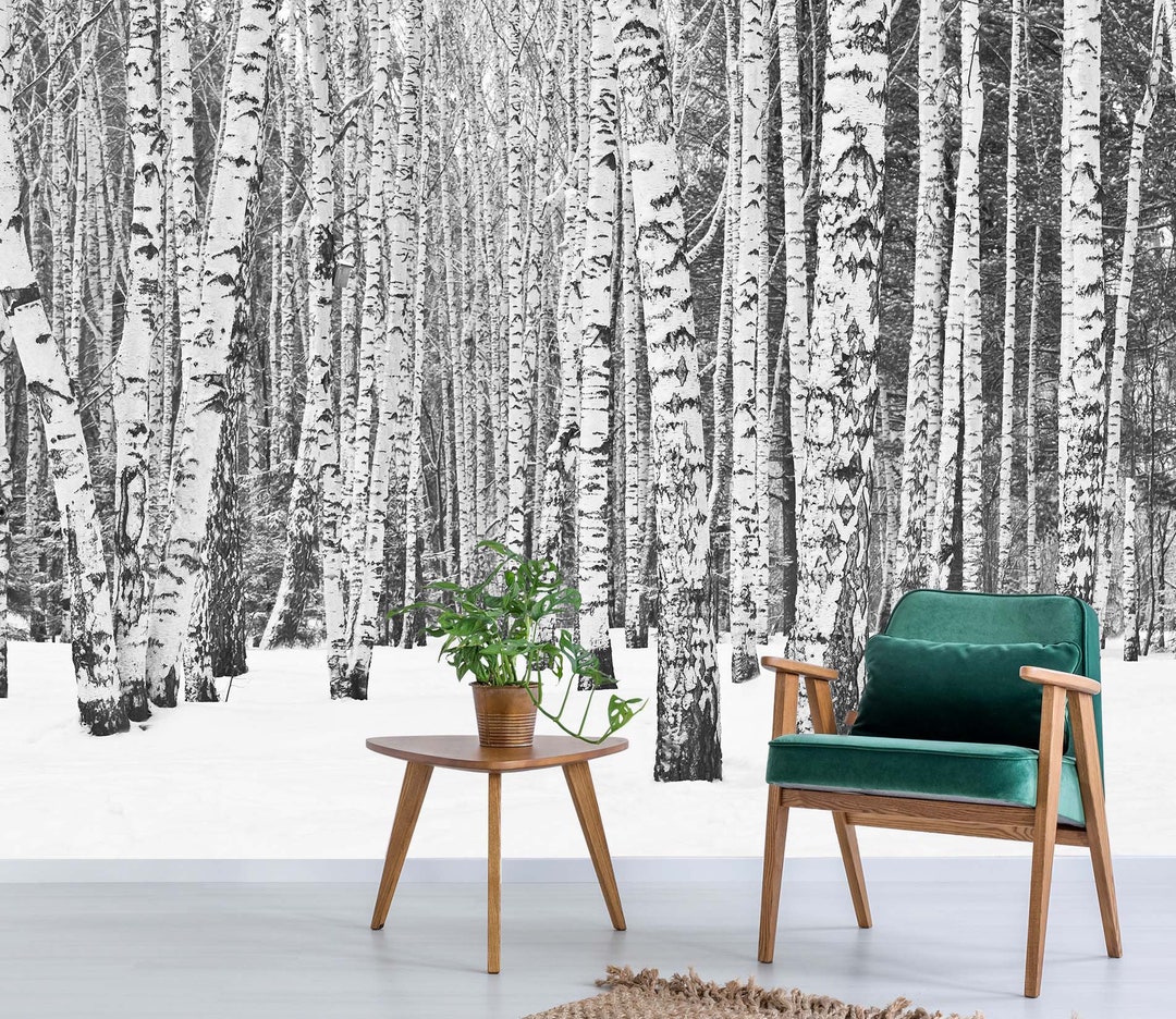 3D Birch Forest Wallpaper, Snow Wall Mural, Winter Wall Decor, Scenery ...