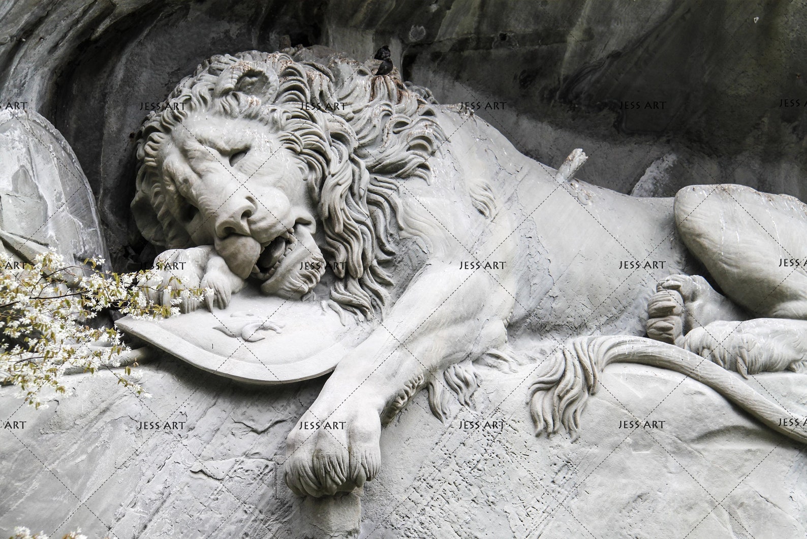 3D Lion Relief Wallpaper Mural, Peel and Stick, Removable - Etsy