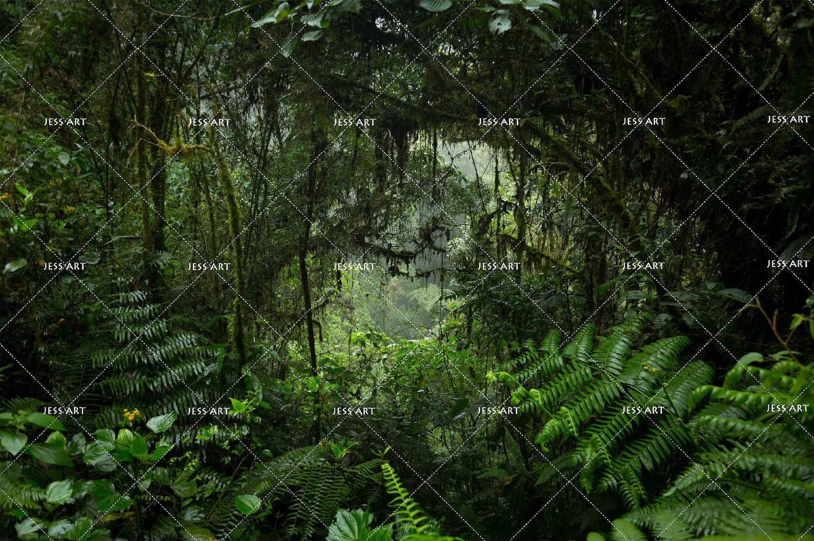 3D Rainforest Wallpaper Trees Wall Mural Leaves Wall Decor - Etsy