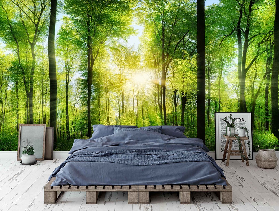 3D Forest Wallpaper Mural, Sunshine Scenery, Peel and Stick - Etsy