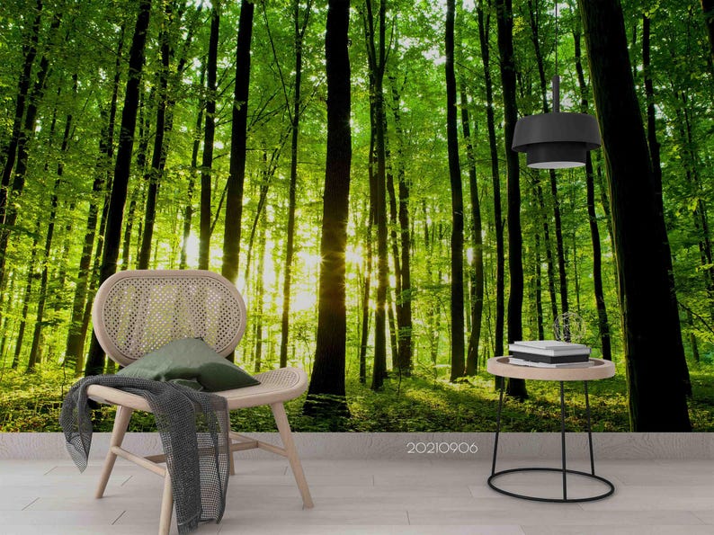 Green Forest Wall Mural – 3D Sunlight Wallpaper, Peel and Stick - Etsy