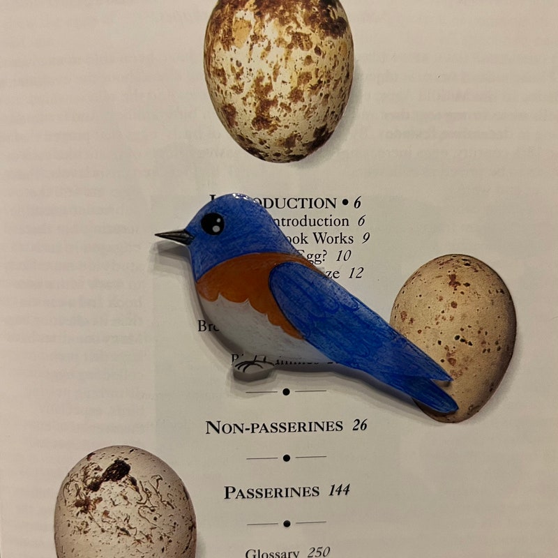 Bluebird Patch - Etsy