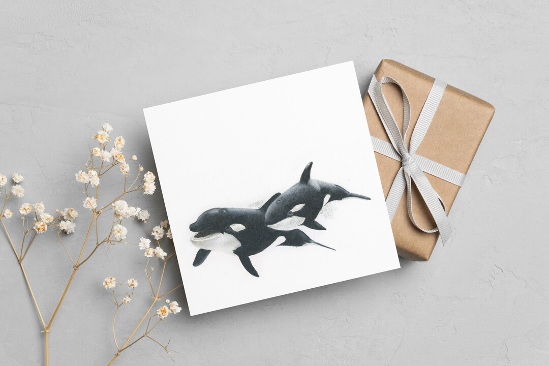 Under the Sea Orca Killer Whale Blank Birthday Greeting Card From ...