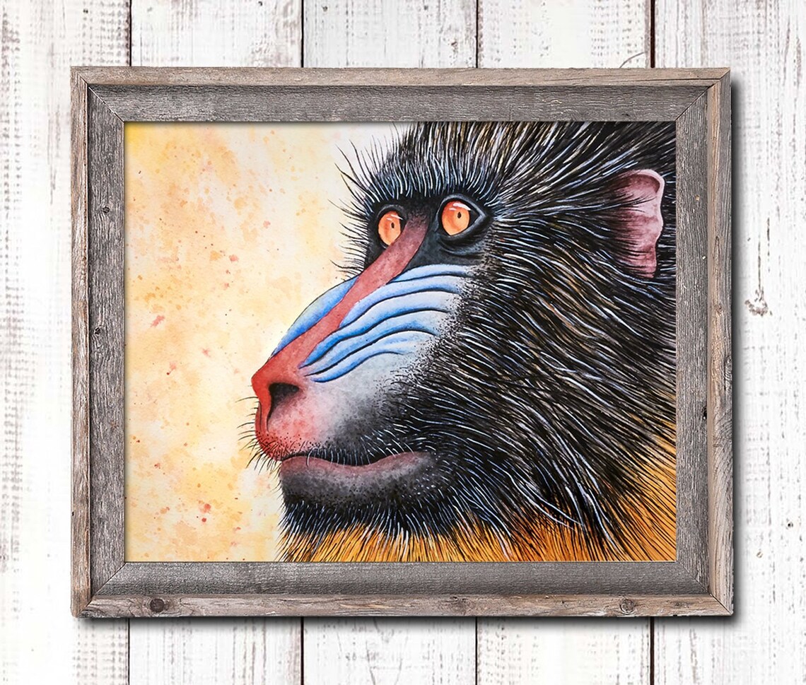 Mandrill Art Watercolor Painting Monkey Primate Baboon Print - Etsy