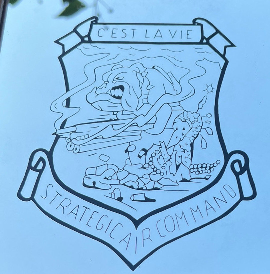 Vintage Usaf B-52 Gunner C'est La Vie Air Force Decal - Etsy