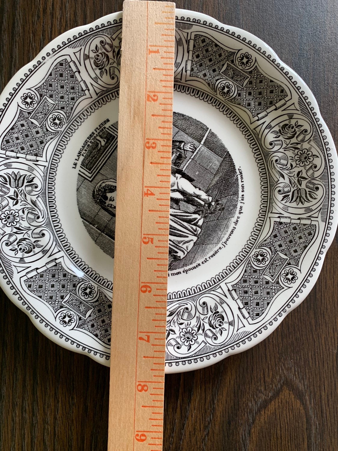 Vintage French Talking Plates/ Gien France Porcelain Talking - Etsy