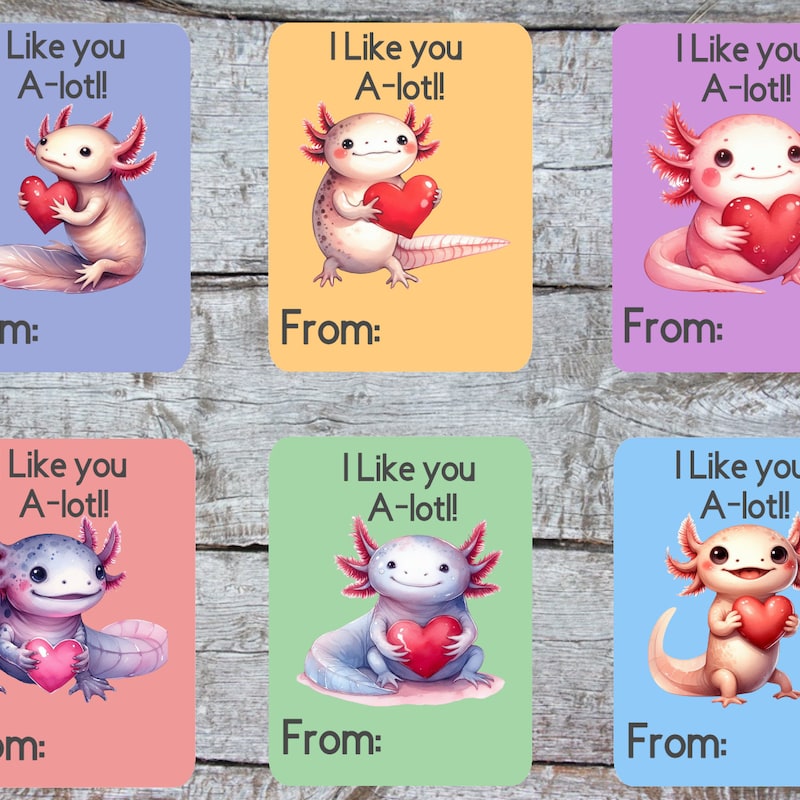 Axolotl Valentines Box - Etsy