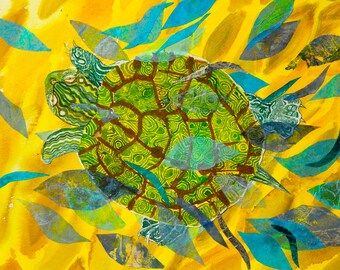 Baby Map Turtle Shells 2 3.5 inch Sizes Available TU9