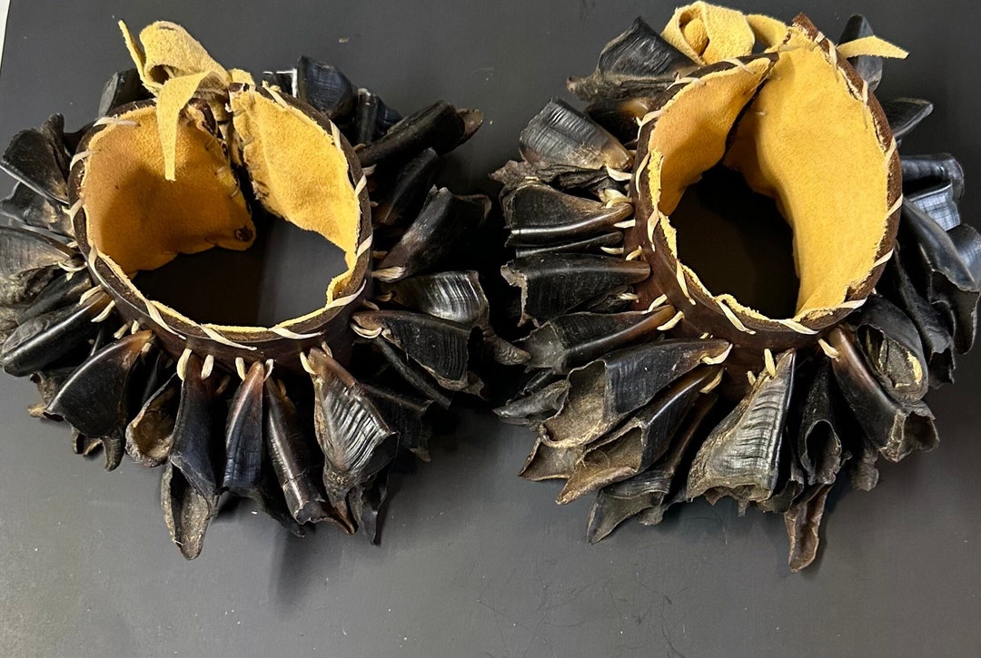 Large Deer Toe Rattles - Etsy