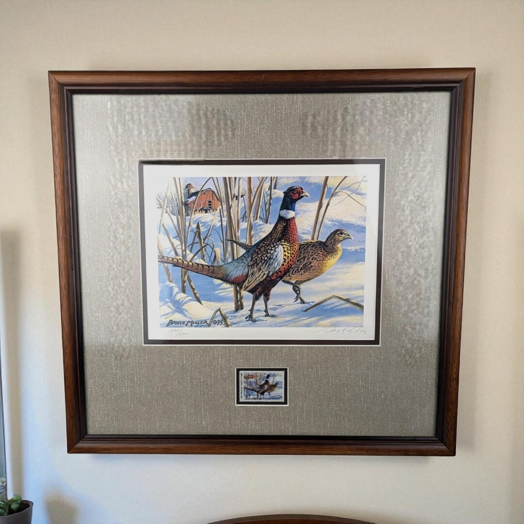 Signed 1993 Pheasant Art Print: Bruce Miller Minnesota Habitat Stamp ...