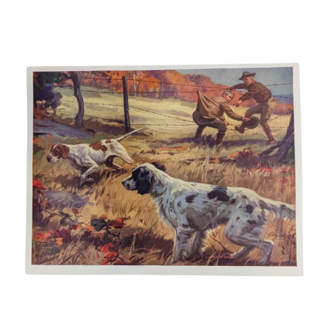 Vintage Hunting Dog Print: English Setter & Pointer - Henry ...