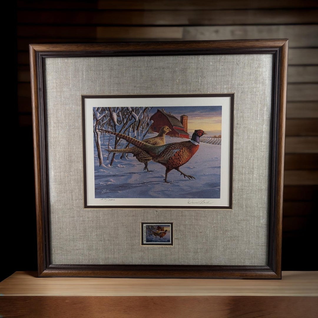 Vintage 1989 Minnesota Pheasant Habitat Stamp Print Framed, Signed ...
