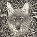Seen (original Drawing) - Etsy