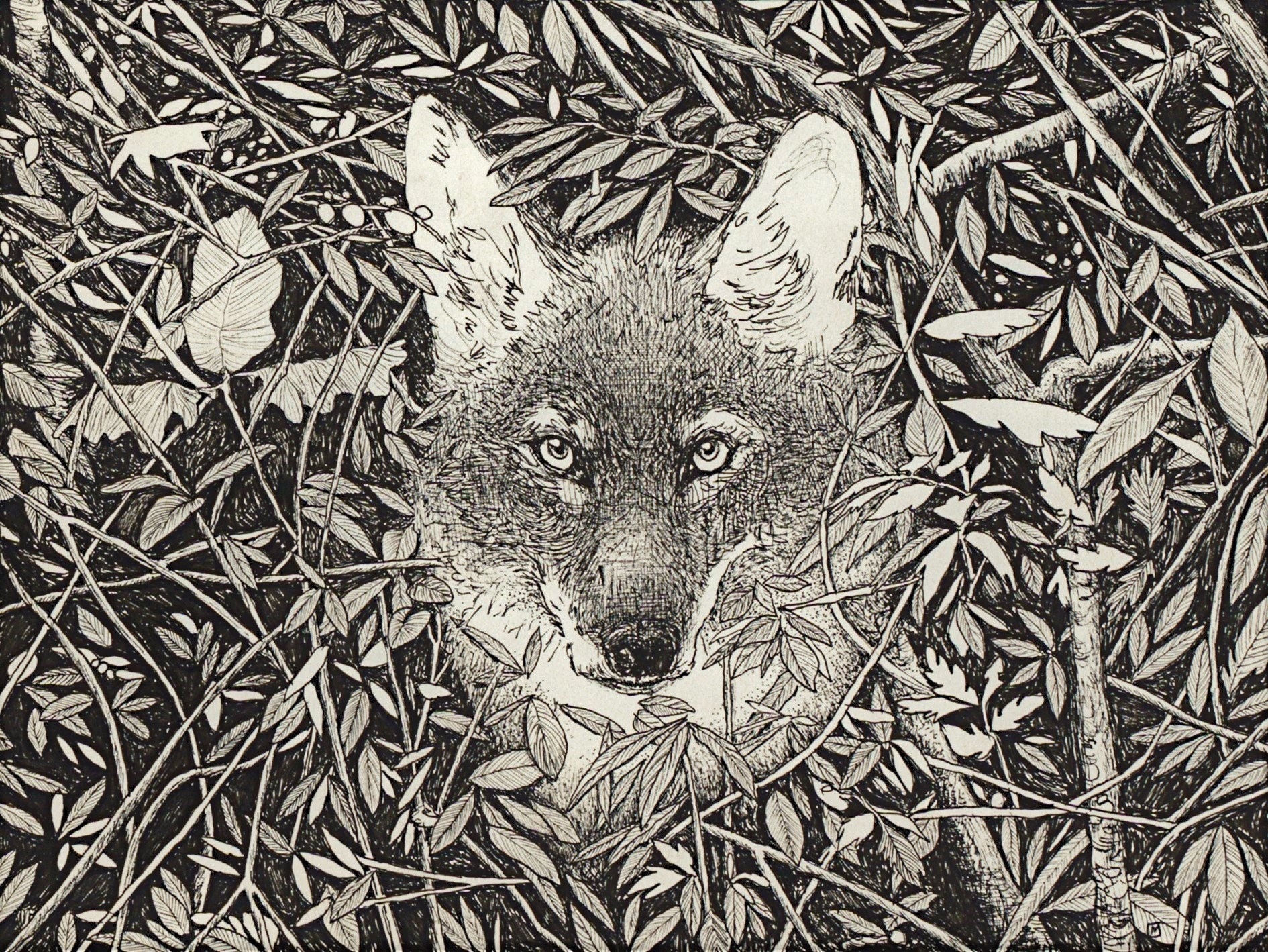 Seen original Drawing - Etsy