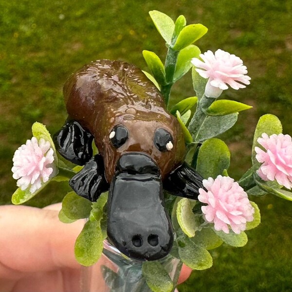 Miniature Platypus - Etsy