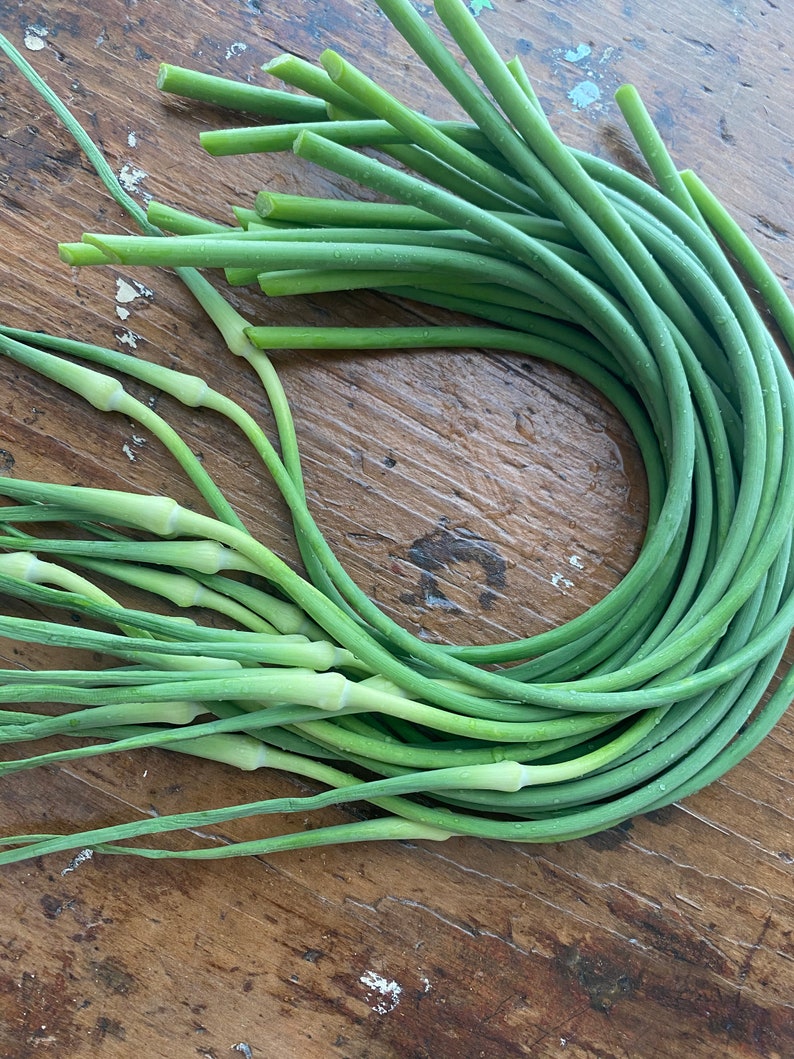 Pickled Garlic Scapes, Small Batch Dill Pickles - Etsy