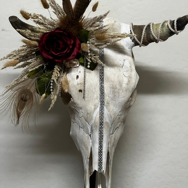 Decorative Cow Skull - Etsy