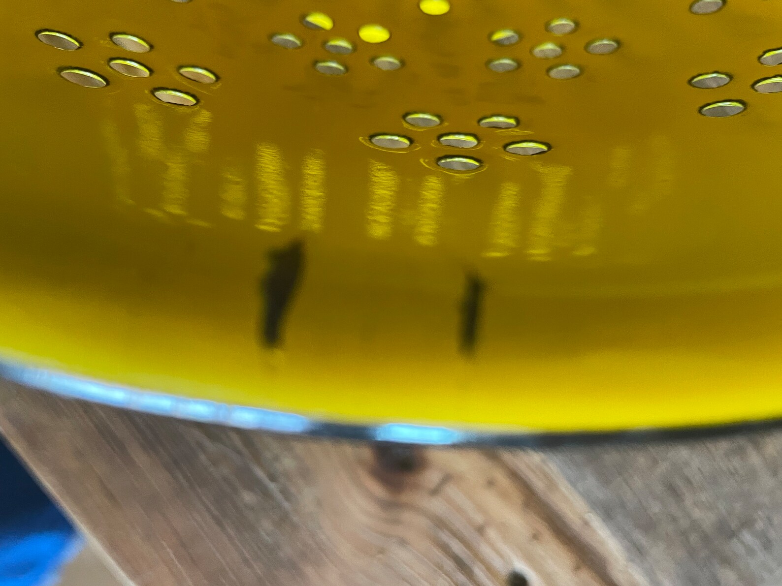 Mid Century 1960's European Bright Yellow & Black Enamelware Food ...