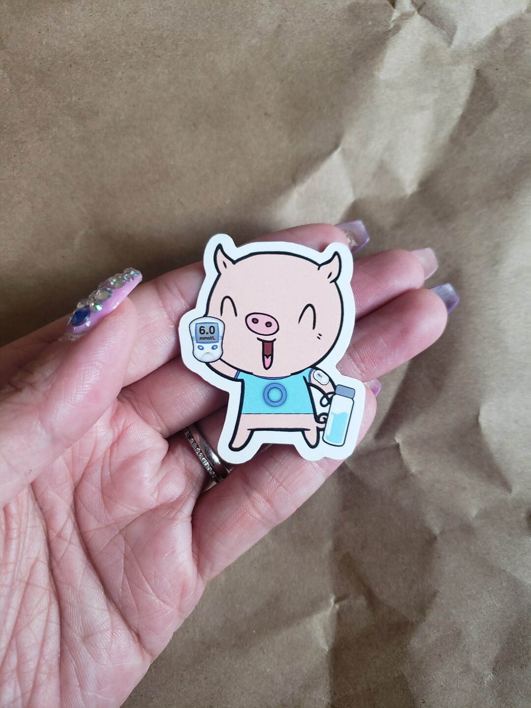 Dexcom Diabetes Fit Pig (inclusion Pack, Type 1 Diabetes, Insulin ...