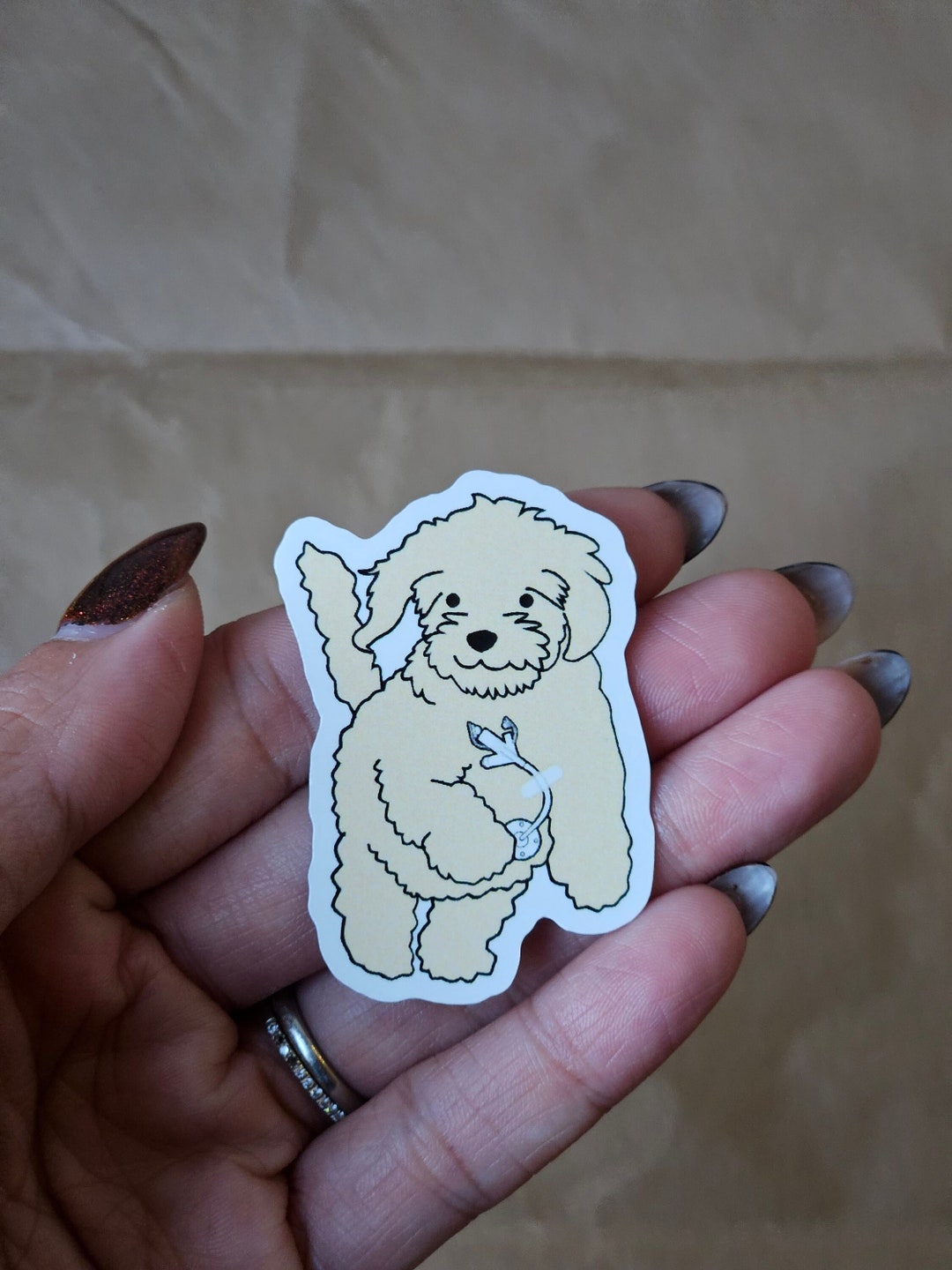 PEG Poodle (tube Feeding Types, Dog, Peg-tube, Dangler, Enteral ...