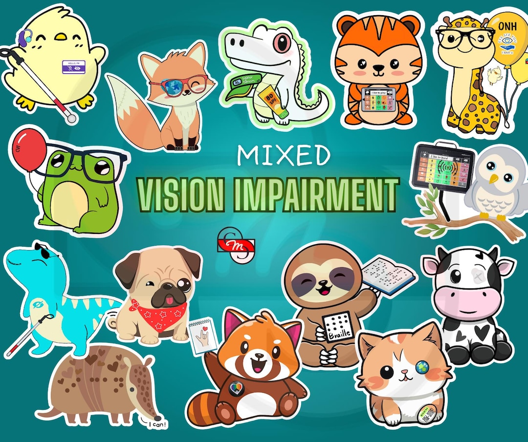 10/30 Mix Pack Vision Impairment Stickers (visual, Blind, ONH, CVI ...