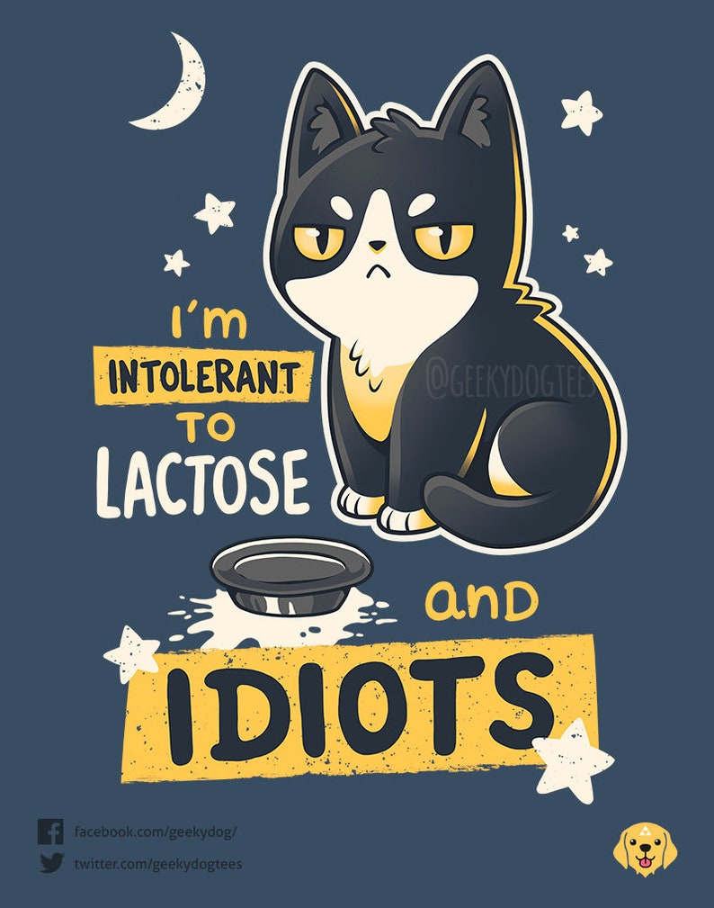 I'm Intolerant to Lactose and Idiots T-shirt // Cute Funny - Etsy