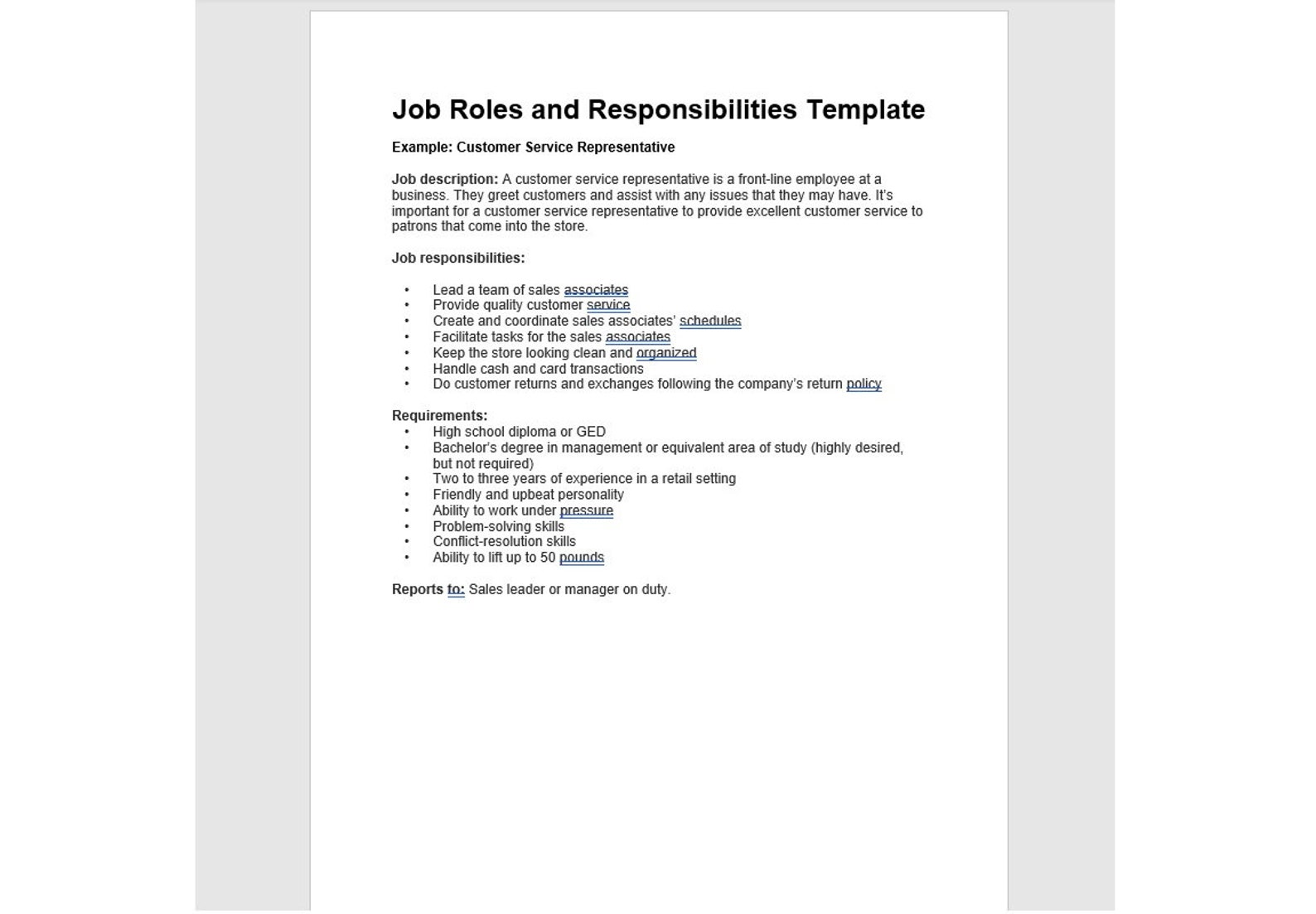Editable Job Roles and Responsibilities Template, Roles and ...