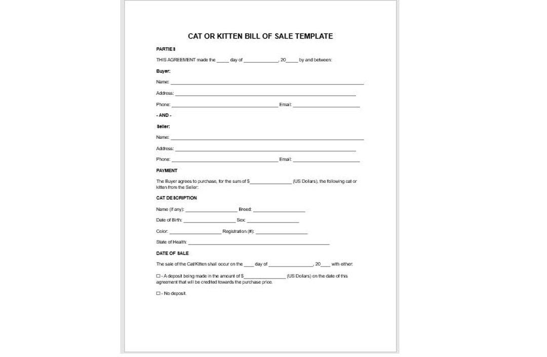 Editable Cat or Kitten Bill of Sale Template, Editable Bill of Sale ...