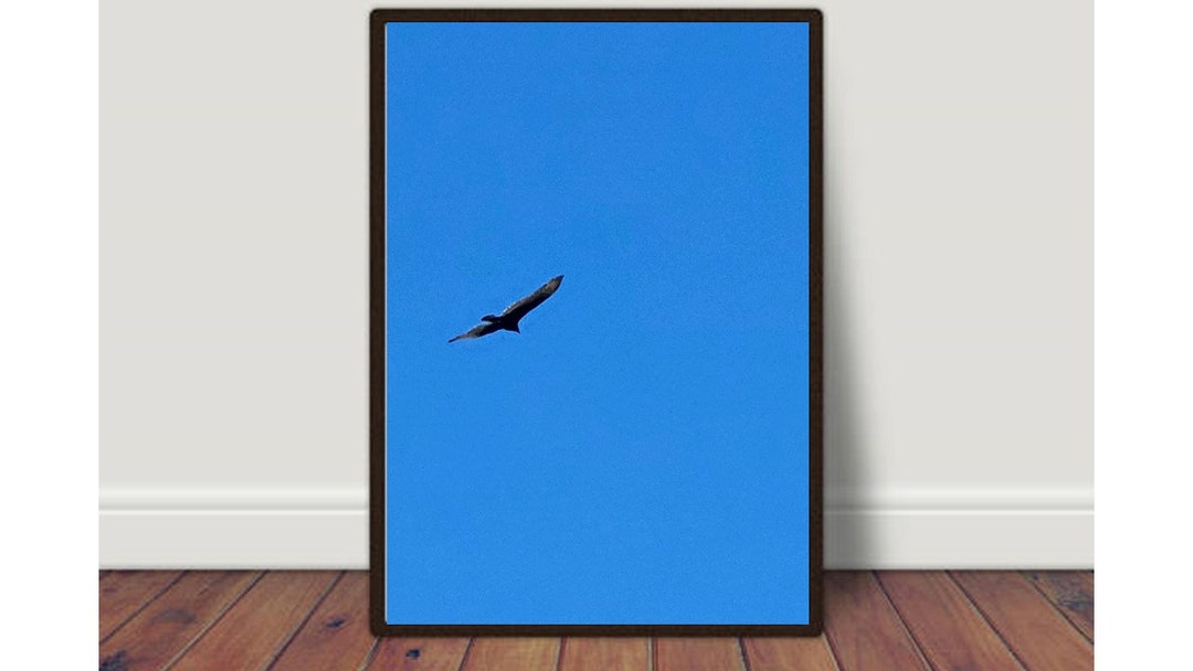 Blue Sky Print Moon Print, Bird Photo, Summer Decor Digital Print ...