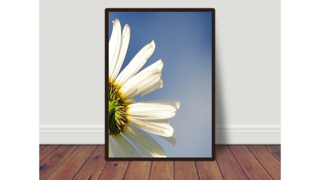 Daisy Art Print, Daisy Print, Spring Daisy Print, Wildflowers Art ...
