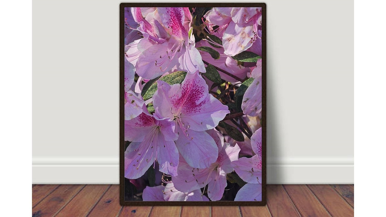 Flower Art Print, Pink Flower Print, Spring Flower Print, Wildflowers ...