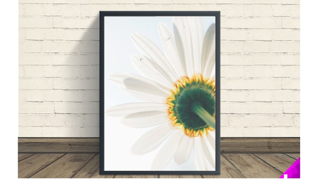 Daisy Art Print, Daisy Print, Spring Daisy Print, Wildflowers Art ...