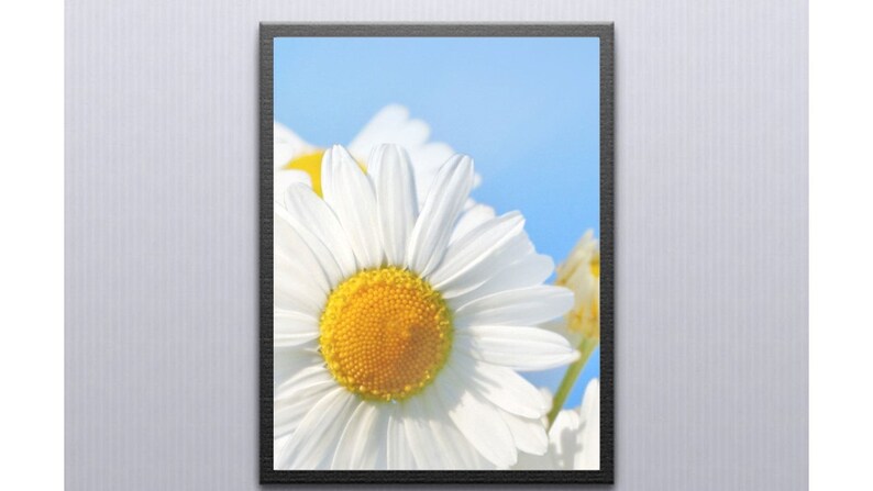 Daisy Art Print, Daisy Print, Spring Daisy Print, Wildflowers Art ...