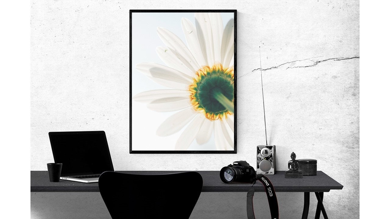 Daisy Art Print Daisy Print Spring Daisy Print Wildflowers - Etsy