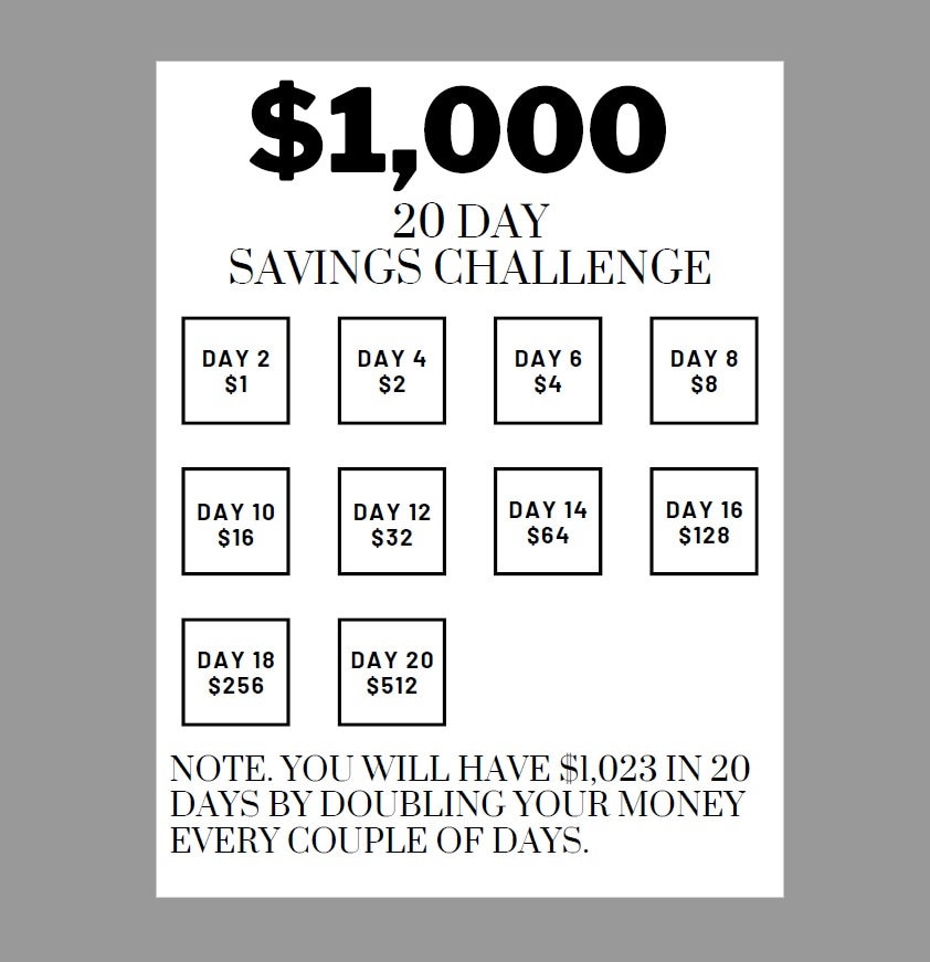 20 Day Savings Challenge, Save 1000 in 20 Days, Savings Planner ...