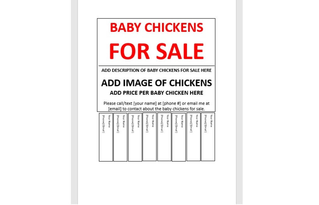 Editable Baby Chickens for Sale Tear-off Flyer, Tear-off Flyer Template ...