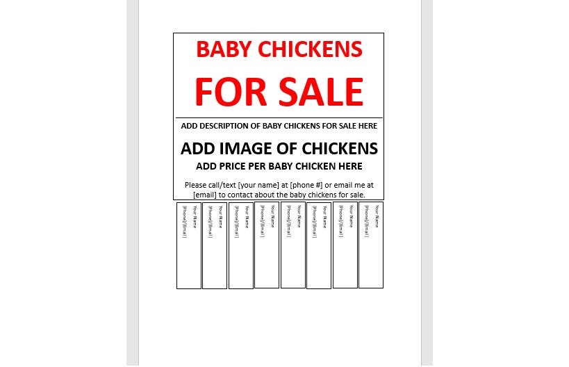 Editable Baby Chickens for Sale Tear-off Flyer, Tear-off Flyer Template ...