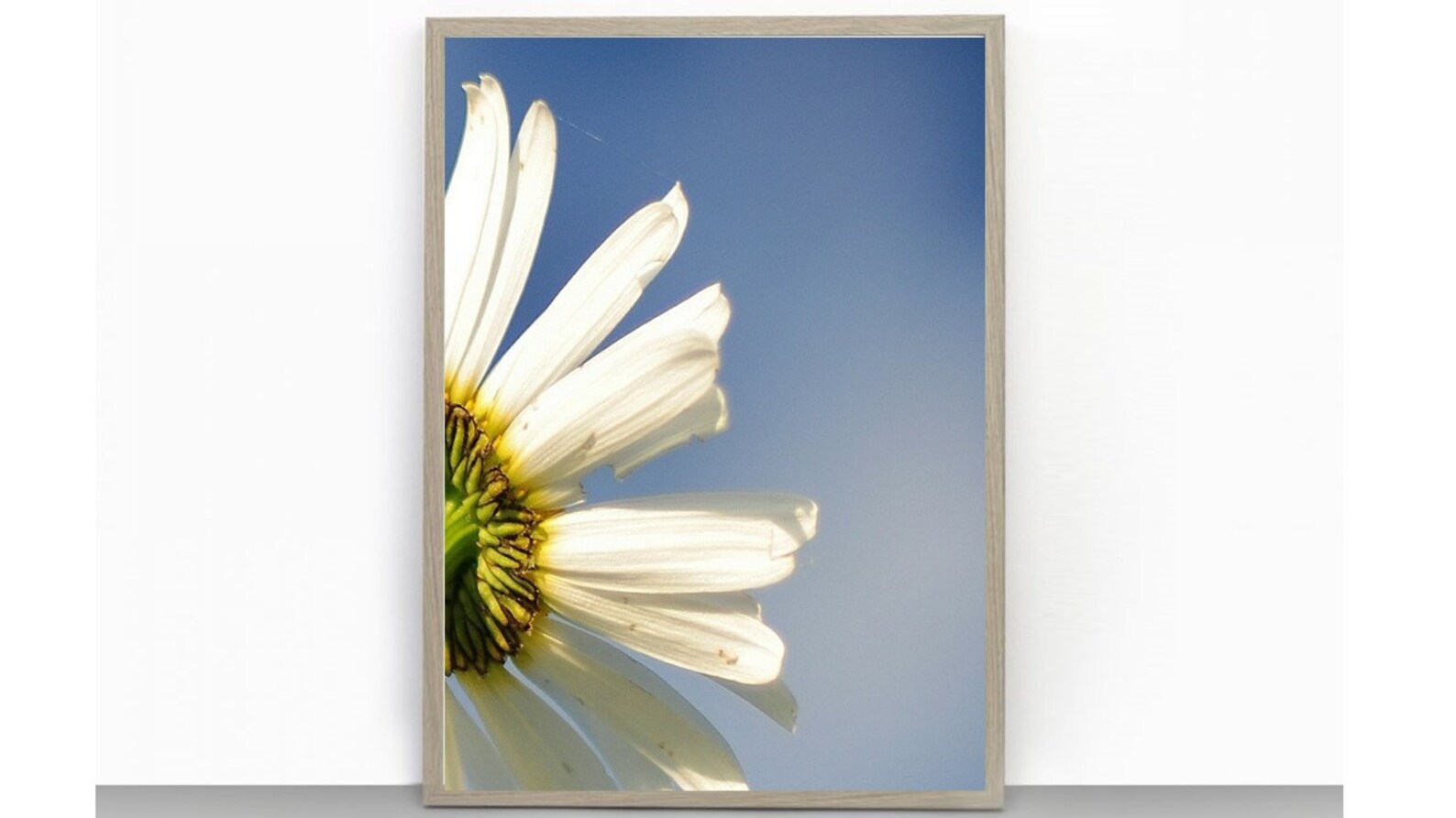 Daisy Art Print, Daisy Print, Spring Daisy Print, Wildflowers Art ...