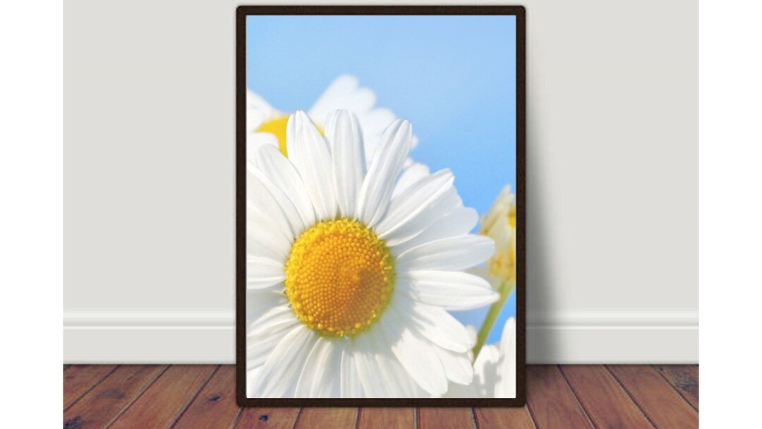 Daisy Art Print, Daisy Print, Spring Daisy Print, Wildflowers Art ...