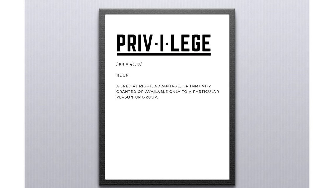 Privilege Definition Social Justice Print Equality Print | Etsy
