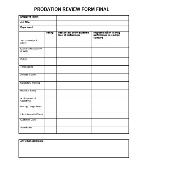 Probation Period Template - Etsy