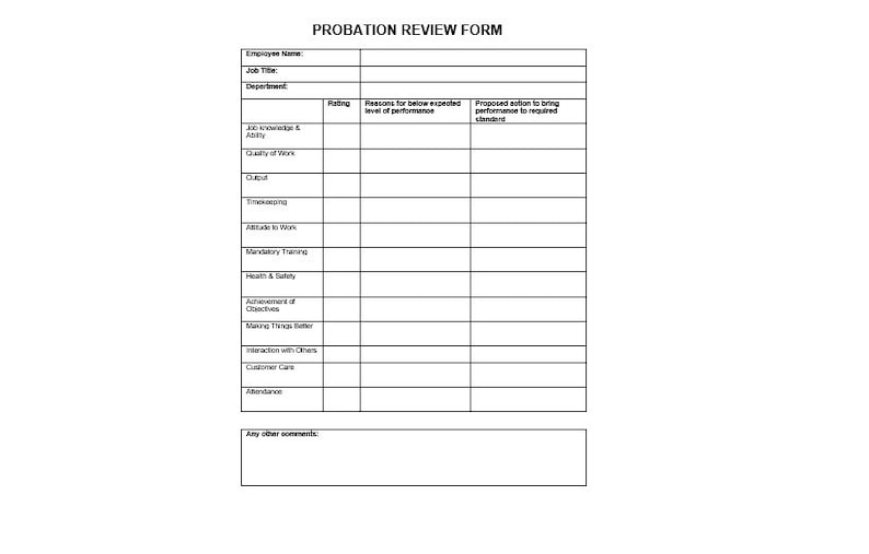 New Hire Probation Form Template, New Hire Probation Form, Probation ...