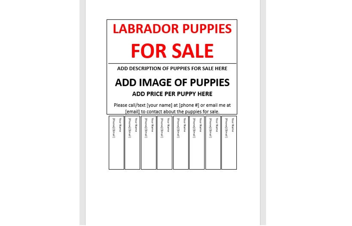 Editable Labrador Retriever Puppies for Sale Tear-off Flyer, Tear-off ...